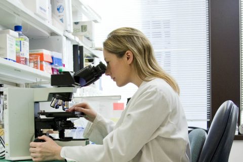 Laboratory Services - Hillcrest Clinic & Imaging