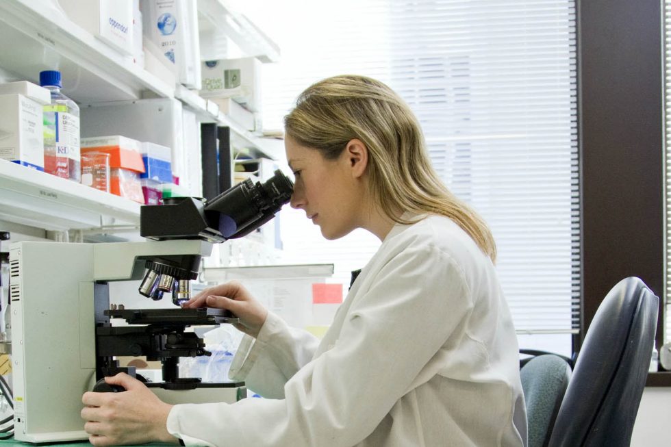 Laboratory Services - Hillcrest Clinic & Imaging